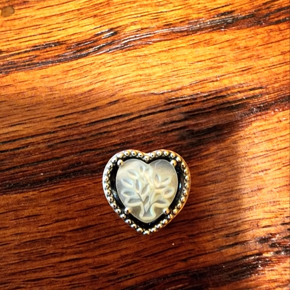 Pandora | Jewelry | Pandora Openheart Family Tree | Poshmark